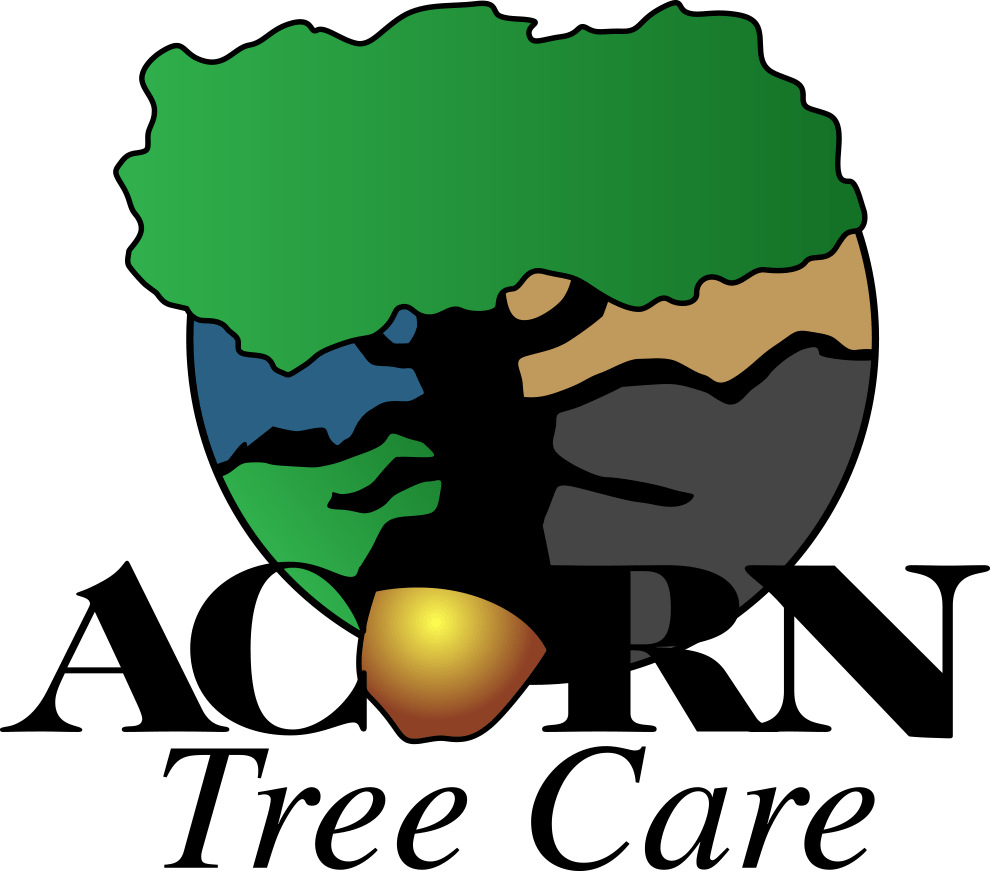 tree services | Marlboro, NY | Acorn Tree Care LLC