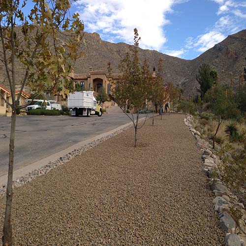 landscaping | El Paso, TX | Daniel's Tree & Landscaping Inc.