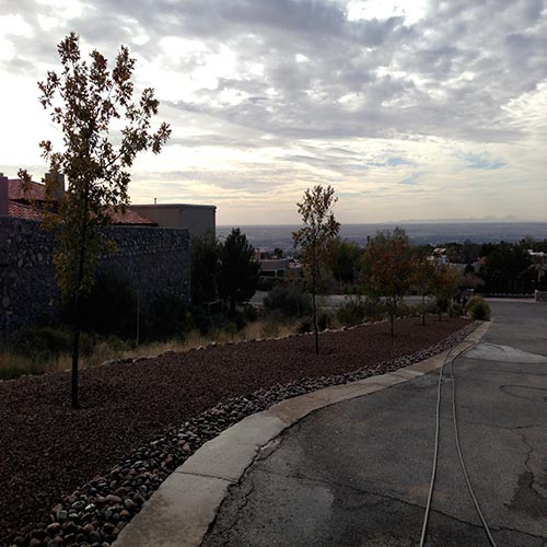 landscaping | El Paso, TX | Daniel's Tree & Landscaping Inc.