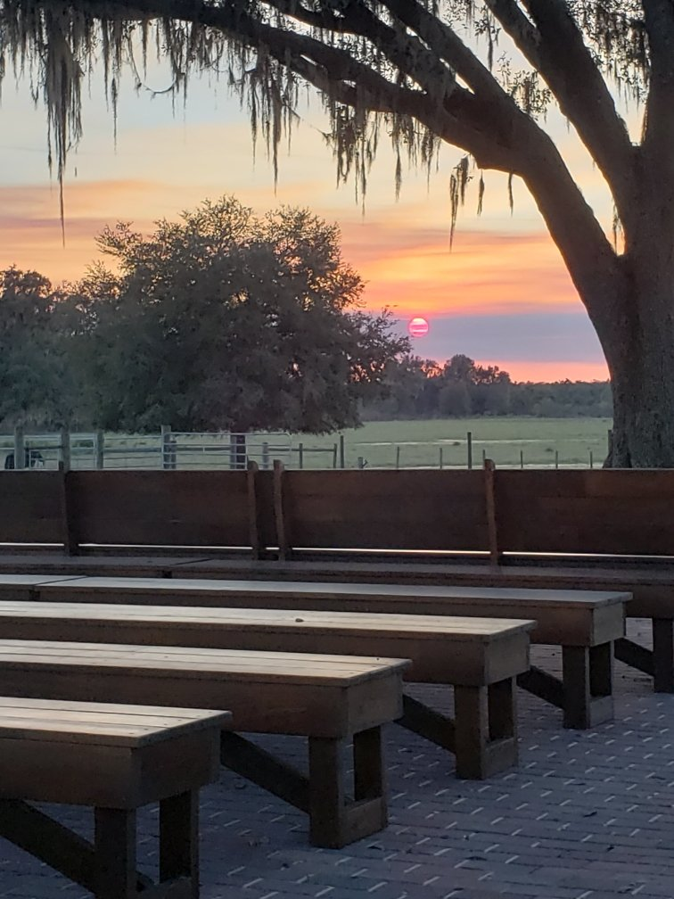 Wedding Venue | Windsong Ranch | Rustic Wedding Venue