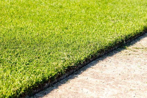 4 Benefits of Bermuda Sod for Your Southern Landscape