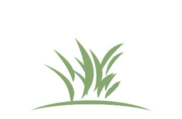 Albany Sod & Turfgrass | Wright