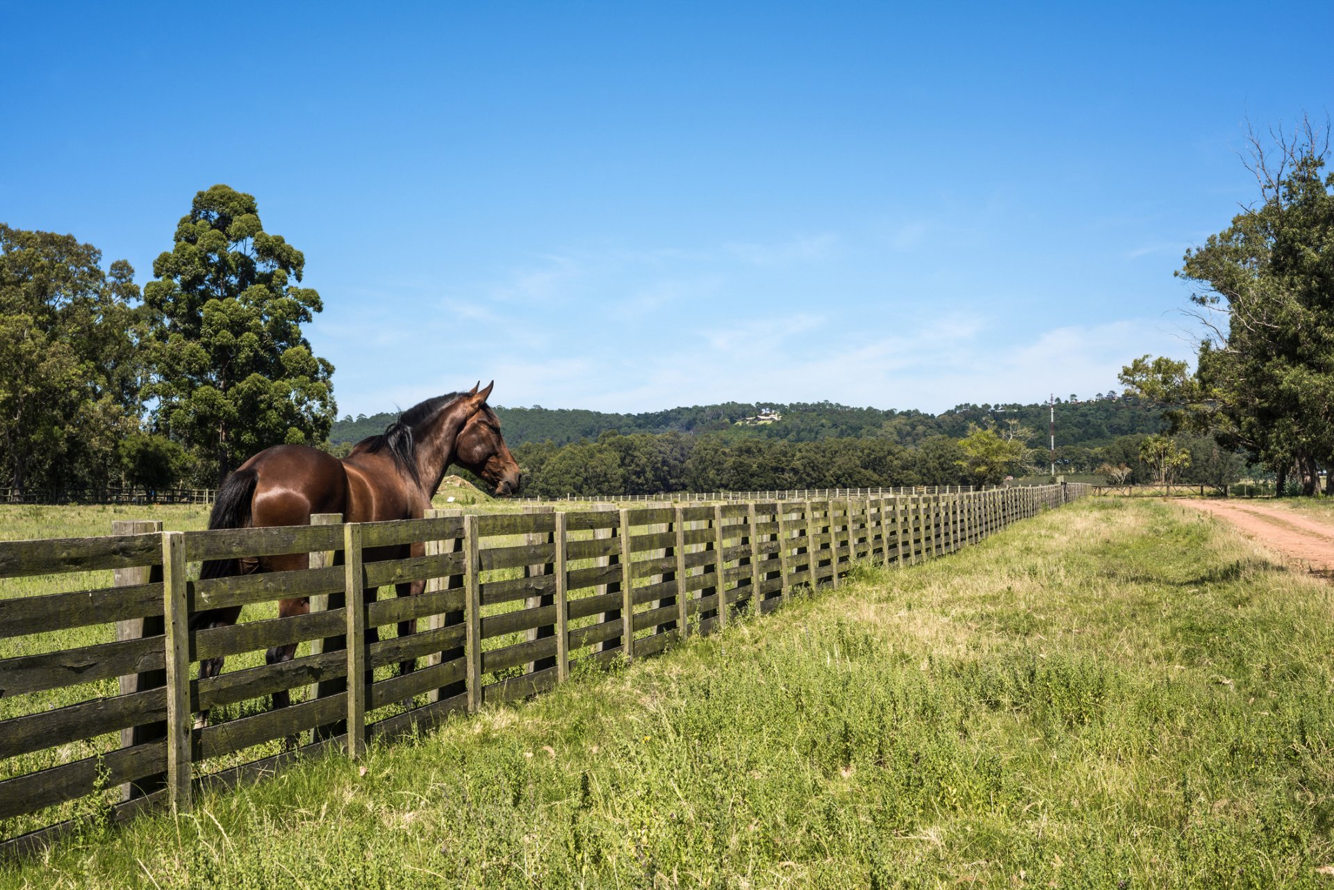 Residential Fences| Auburn, CA| KAL Fencing