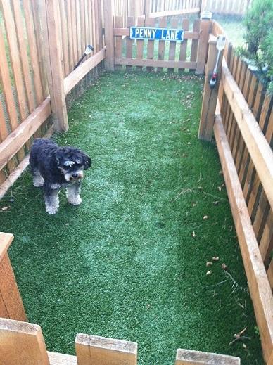 Residential Fences| Auburn, CA| KAL Fencing