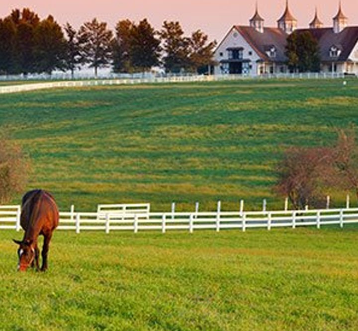 Fences| Auburn, CA| KAL Fencing