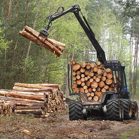 Timber Management - Shipshewana, IN - Michiana Timber Management