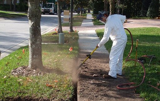 Arborists and Tree Pruning | Tampa Bay, FL | Independent Tree Service, Inc.