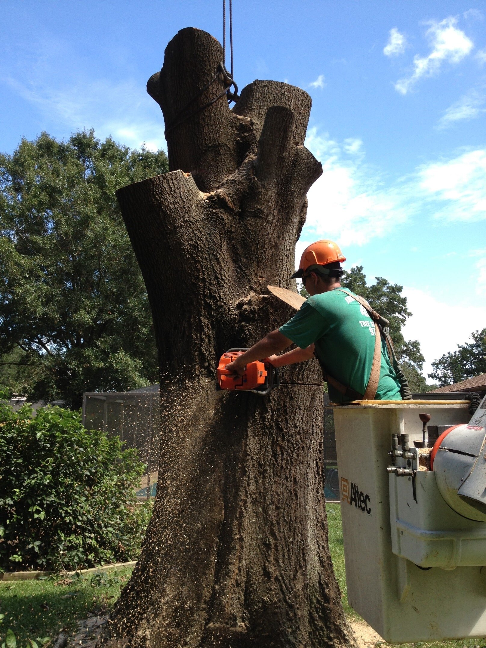 About Your Tree Pros | Tampa Bay, FL | Independent Tree Service, Inc.