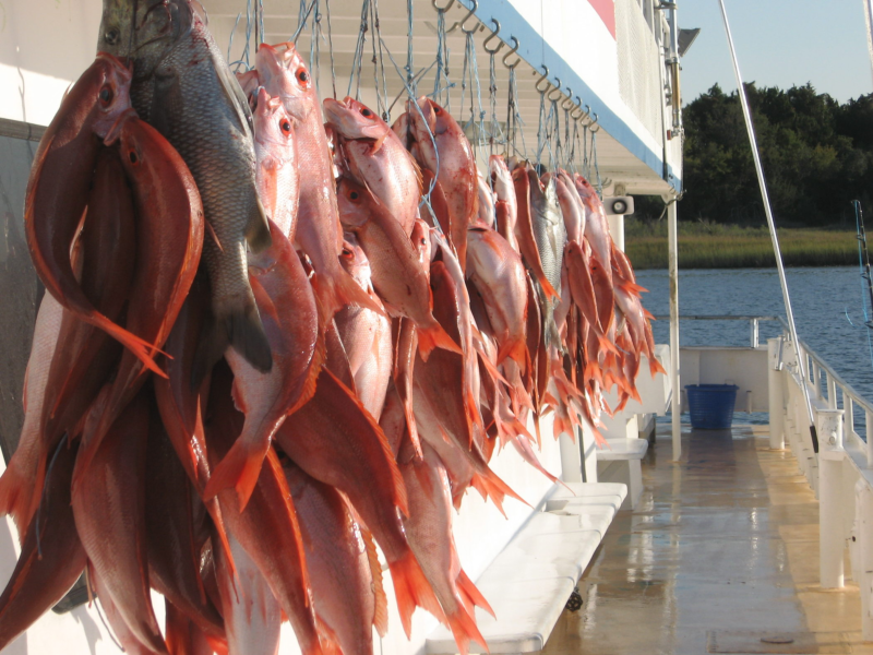 Pricing | Carolina Princess | Morehead City, North Carolina