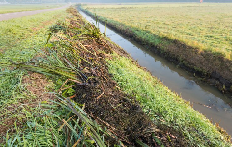 Ditch Cleaning Services | Portage WI | Curtis Excavating