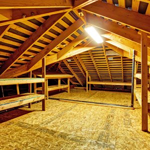 Pest Control Routine — Spring Hill, FL — Shamrock Pest Control