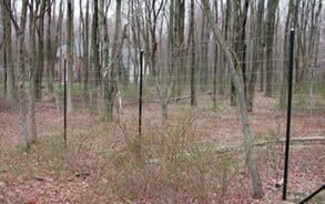 Deer Fences Near Me | Hillsborough, NJ