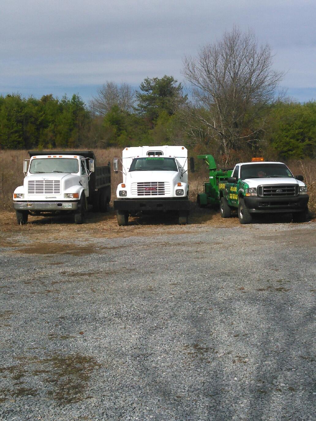 Gallery | Arborscapes Tree Service