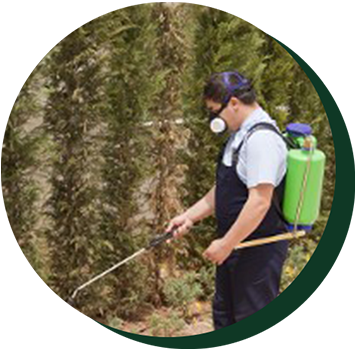 Residential, Commercial Pest Control - Santa Barbara, CA - Santa ...