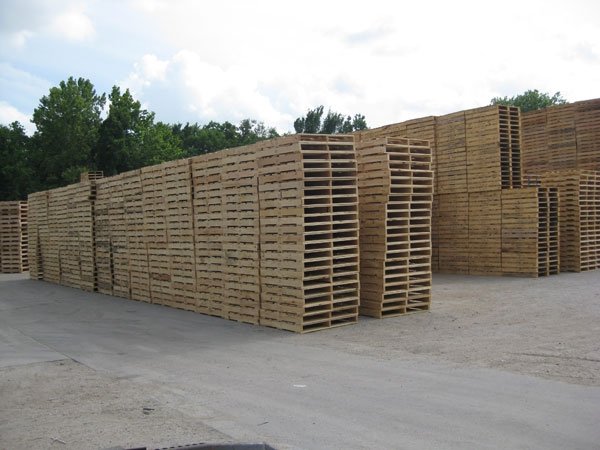 Cougar Pallet - Pallets