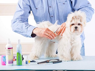 Home|Summit, Ilinois