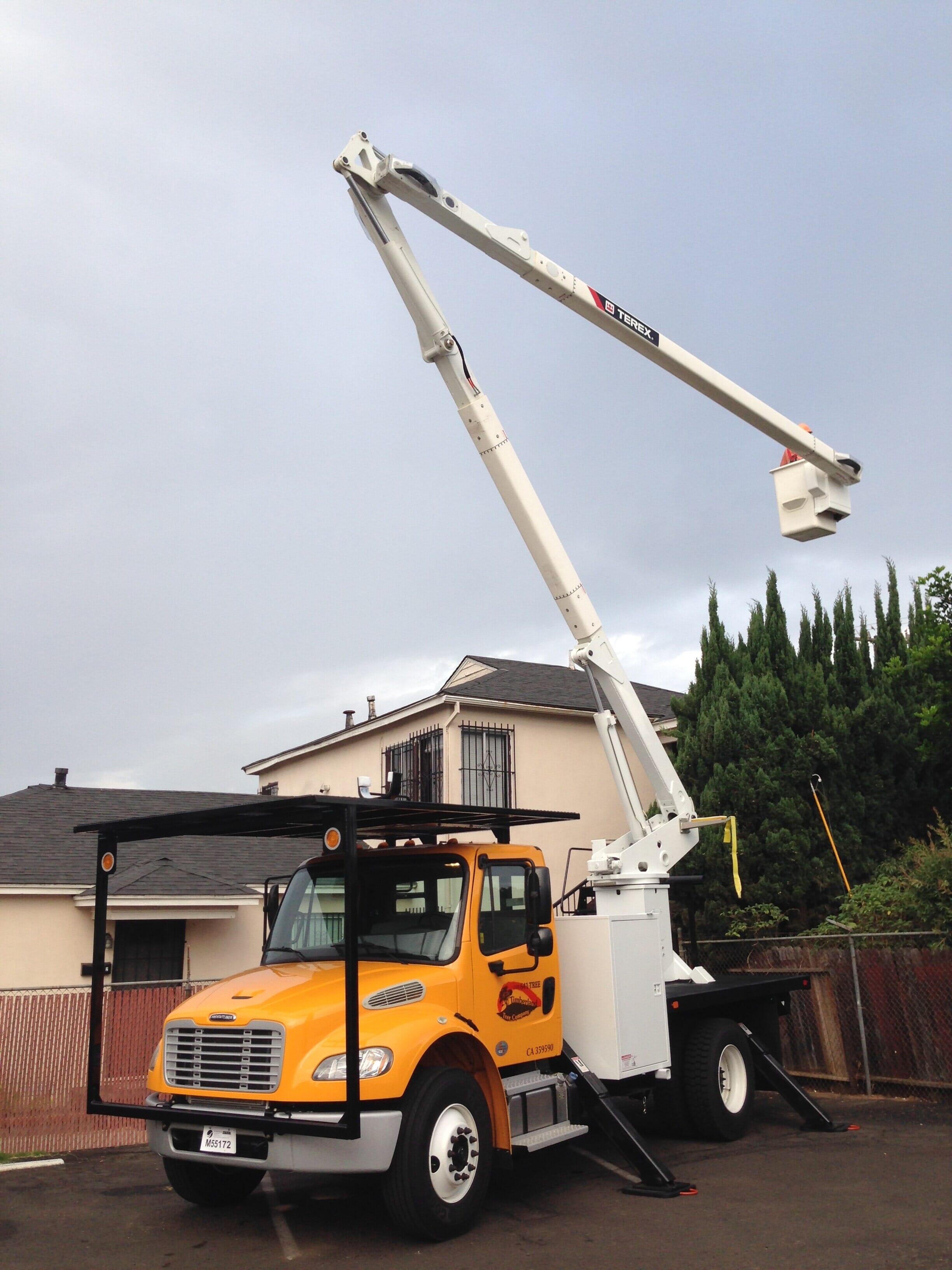 Tree Services – Inglewood, CA – Timberland Tree Company