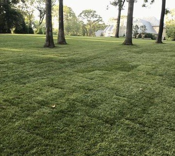 Tall Fescue Grass Installation - O'Fallon, MO - Midwest Turf