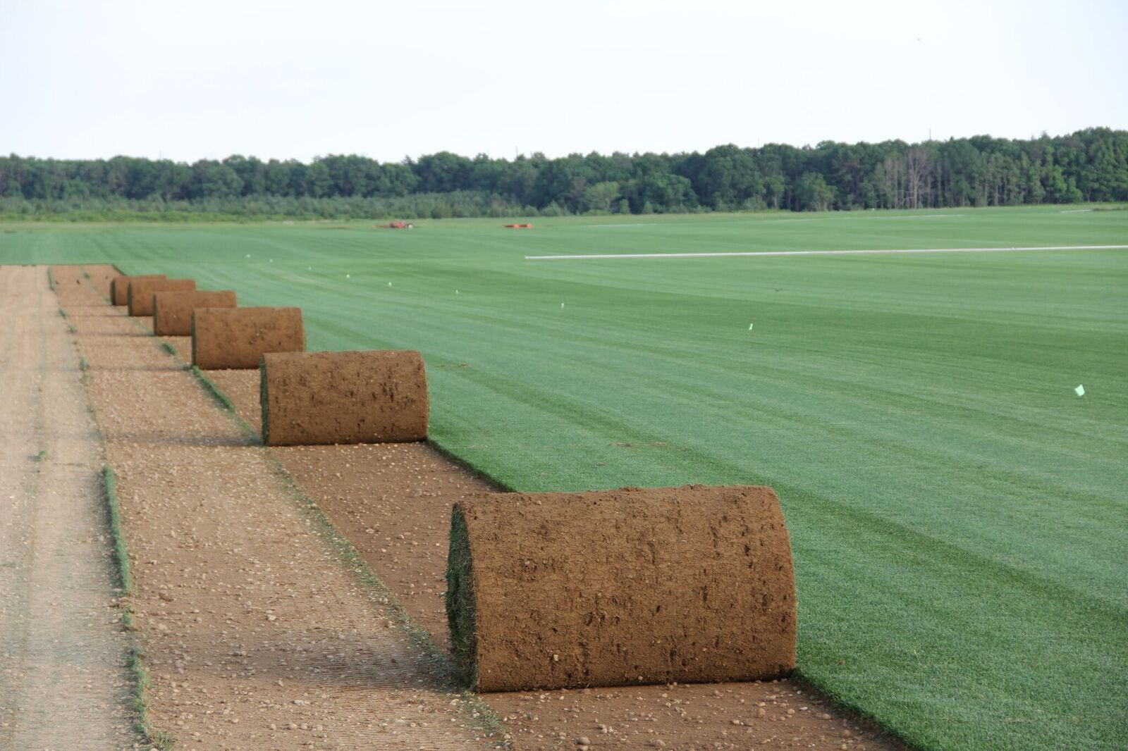 Residential Sod - Wading River, NY - Greenlawn Sod Farms