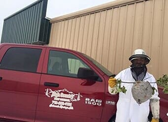 Pest exterminator – Colorado Springs, CO - High Country Pest Control