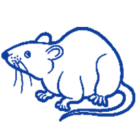 Pest Control Services for Monterey County, CA | Monterey Bay Pest ...