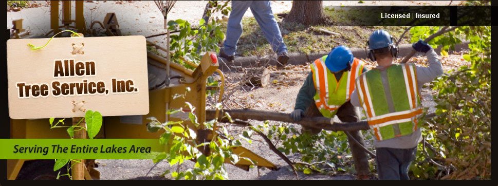 Tree Trimming | Delavan, WI | Allen Tree Service, Inc.