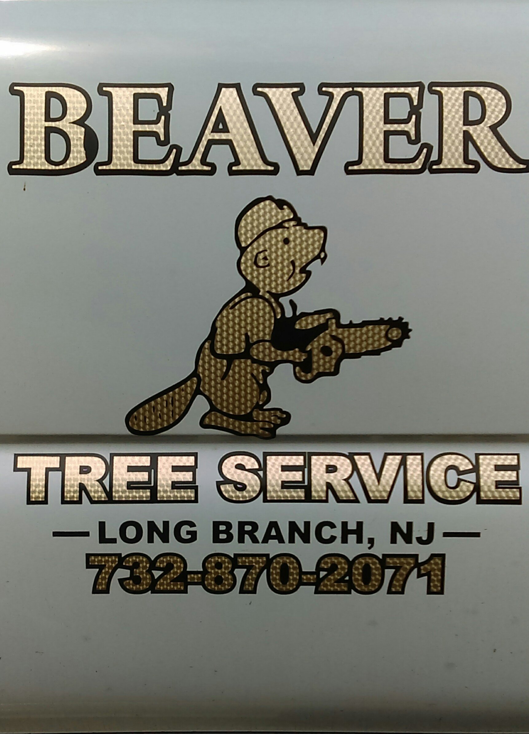 Tree Care Company | Long Branch, NJ