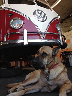 Automotive Repair - Long Beach, CA - TNT Automotive