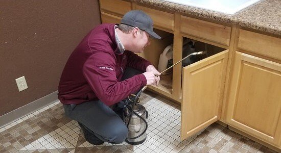 Pest Control | Fargo, North Dakota | Midwest Pest Control LLC
