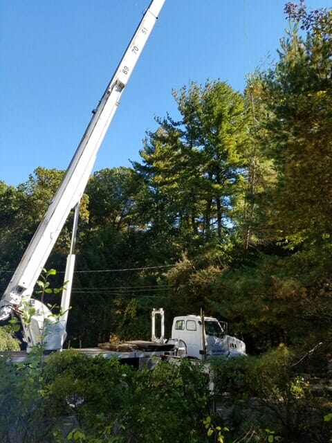 Tree Services | Revere, MA | PEMA Tree Services