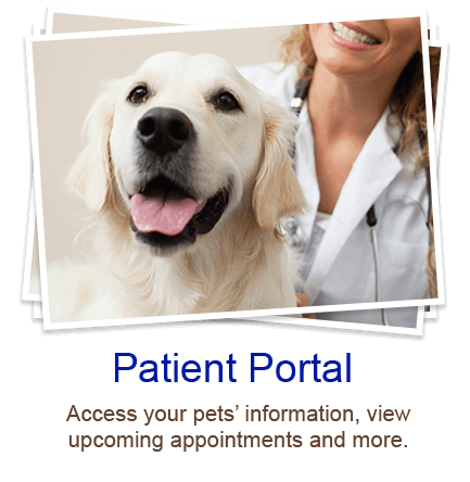 Atlanta area Animal Hospital | Riverview Veterinary Hospital