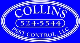 Termite Control - Beafort, SC - Collins Pest Control