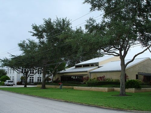 Gallery - Indian Shores, FL - Bay City Tree Service, Inc.