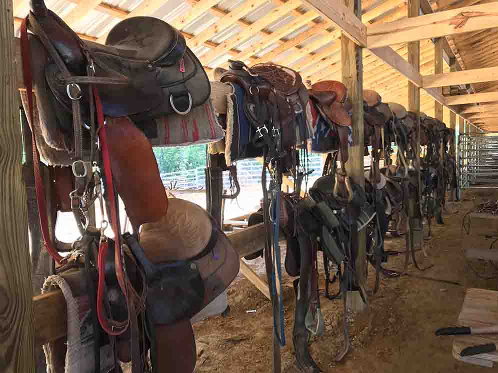 Services | Spencer, TN | Fall Creek Falls Riding Stables
