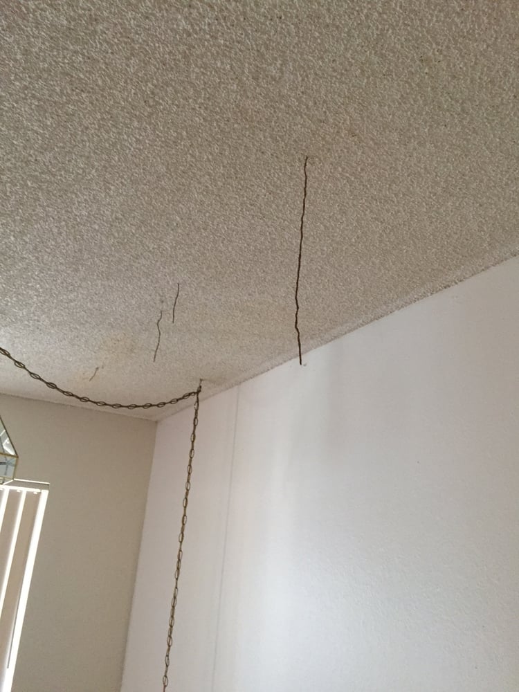 Termite Control | Phoenix, AZ | Eliminex Pest, Termite, and Weed Control