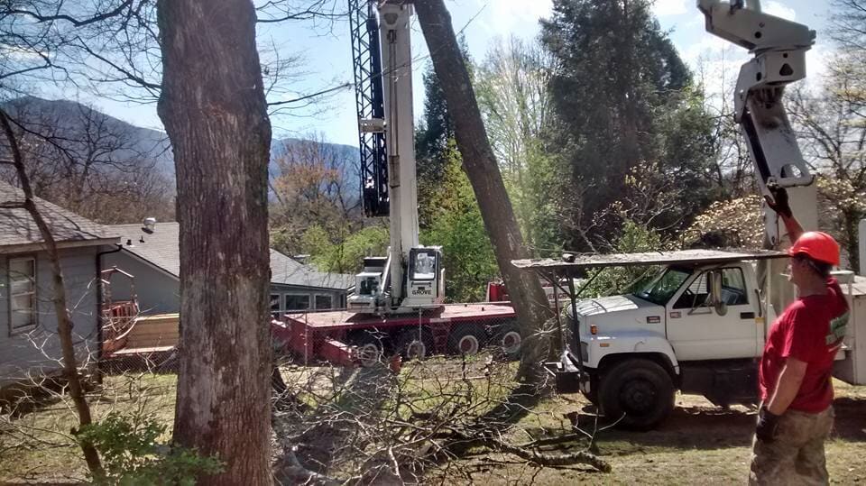 Home | Swannanoa, NC | Newcomb Tree Service