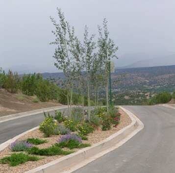 Landscaping - Santa Fe, NM - Cassidy's Landscaping