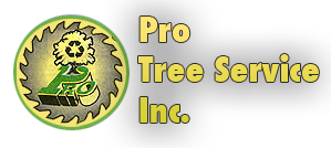 Pro Tree Service Inc. - Welcome