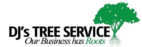 Professional Tree Care Service-Northern Vermont and Greater Burlington ...