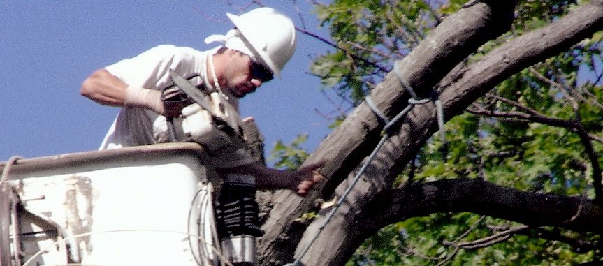 Home | J&M Tree Service - Flint, Michigan