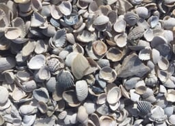 gravel-products - , - Southern Aggregates Inc, Building and Landscape ...