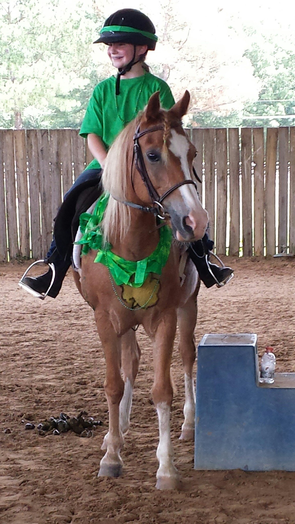 Riding Academy | Canton, Mississippi |Blue Ribbon Riding Academy