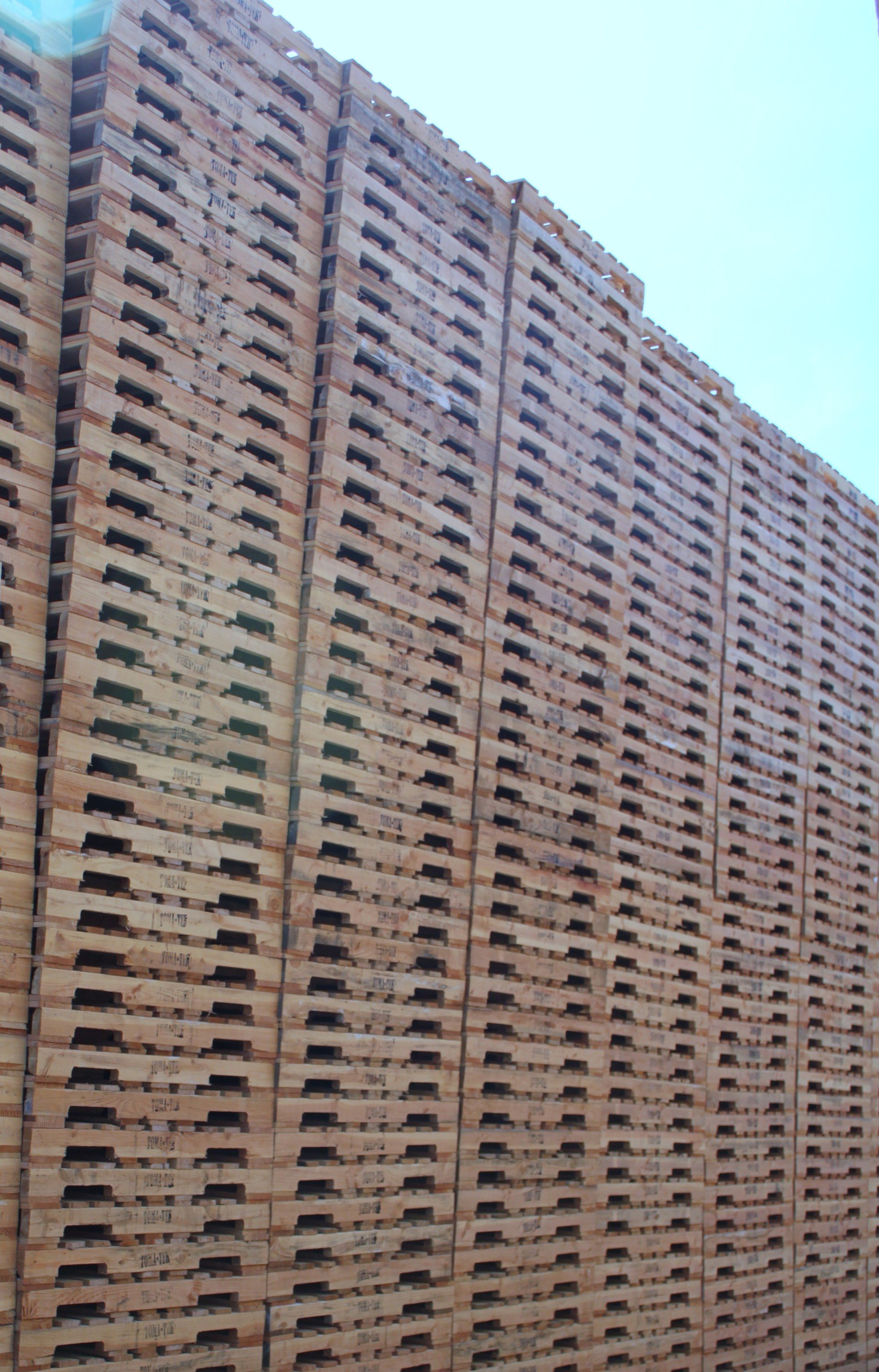 Gonzalez Pallets - Services