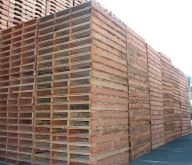 Gonzalez Pallets - Services