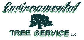 Home Page - Environmental Tree Service - Eynon, PA