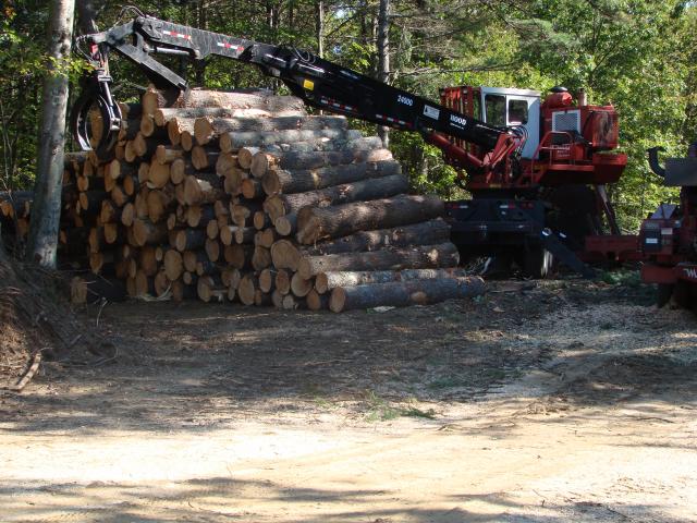 . Forestry_Logging