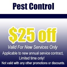 Pest Control | Tampa, FL | Best Termite & Pest Control, Inc.