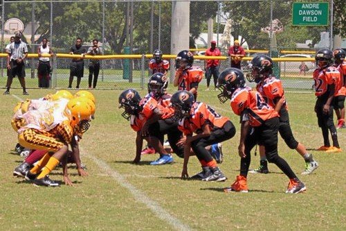 Flag Football - Miami, FL - Suniland Sundevils Sports, Inc