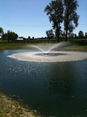 Pond Construction | Lexington, KY | Diamond Pond / Kentucky Garden and ...