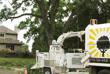 Livermore Tree Service | Simply Trees